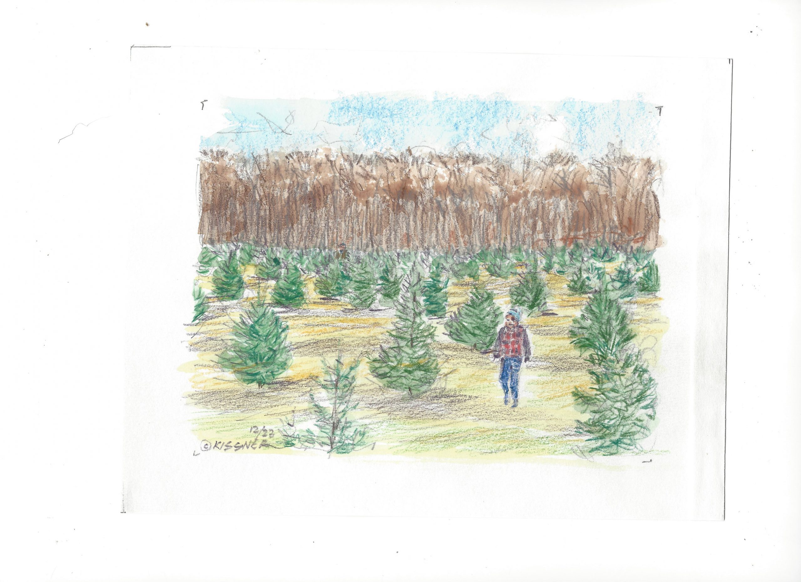 Tree Farm – Duke Architecture & Design LLC